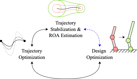 Co-optimization of Acrobot Design and Controller for Increased Certifiable Stability